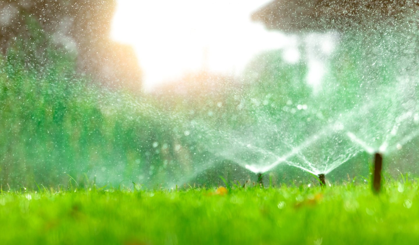 Area D - Stage 2 Water Restrictions in Effect July 1 - Sept 1 ...